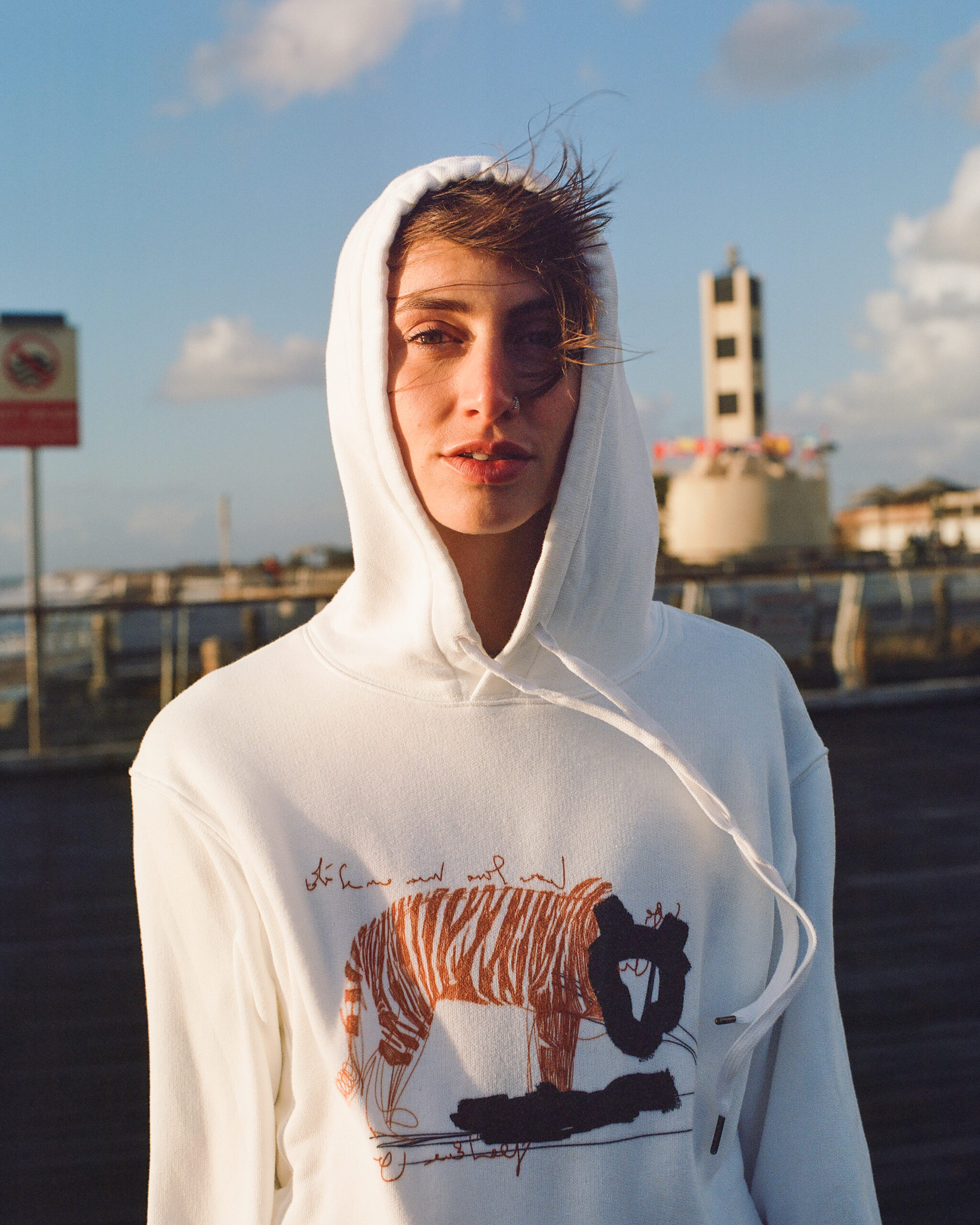 The Zemelman Archive